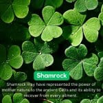 The Luck Of The Irish: Are They Really That Lucky?