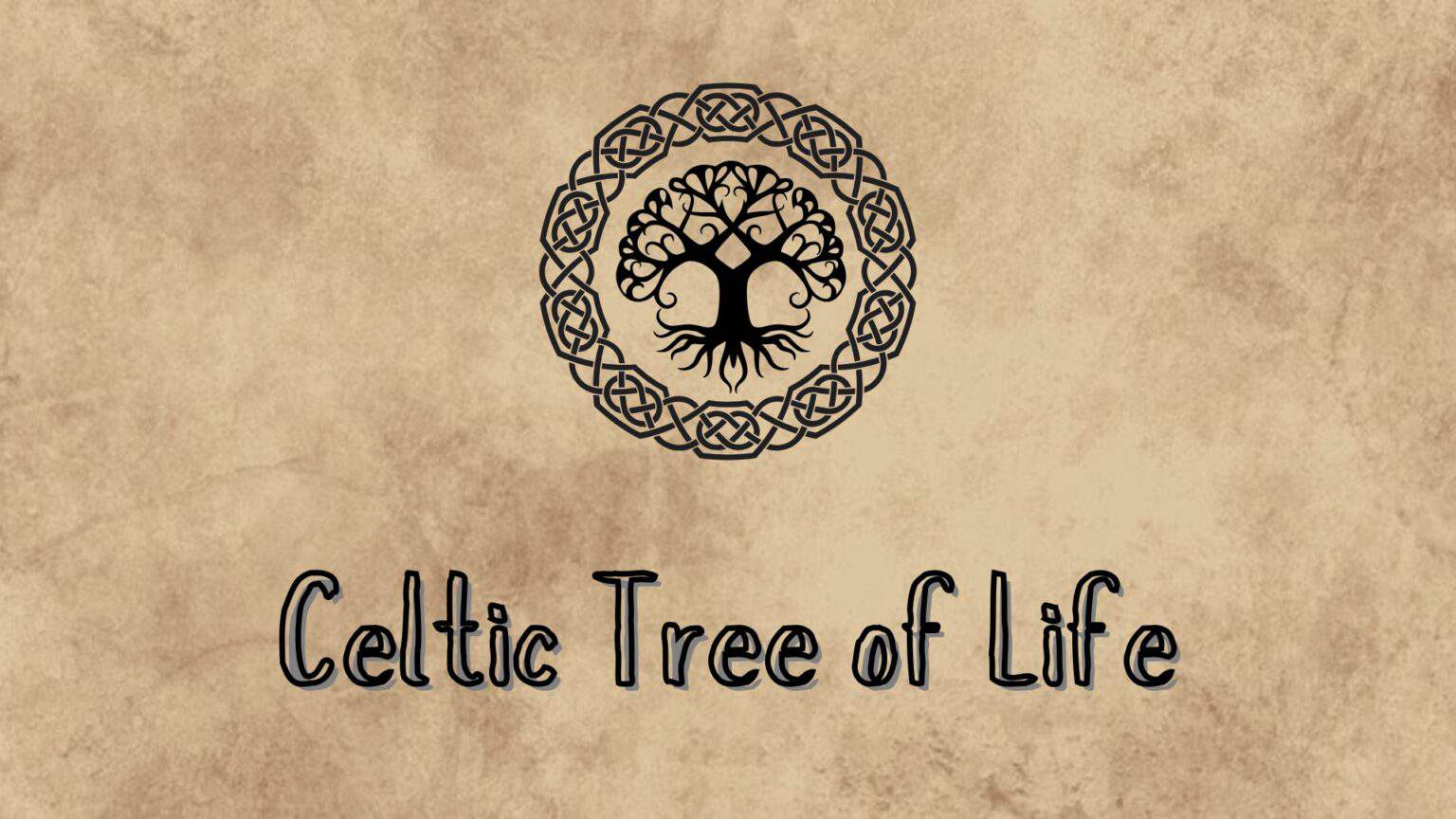 The Ancient Celtic Tree of Life Knot: Meaning & Symbolism
