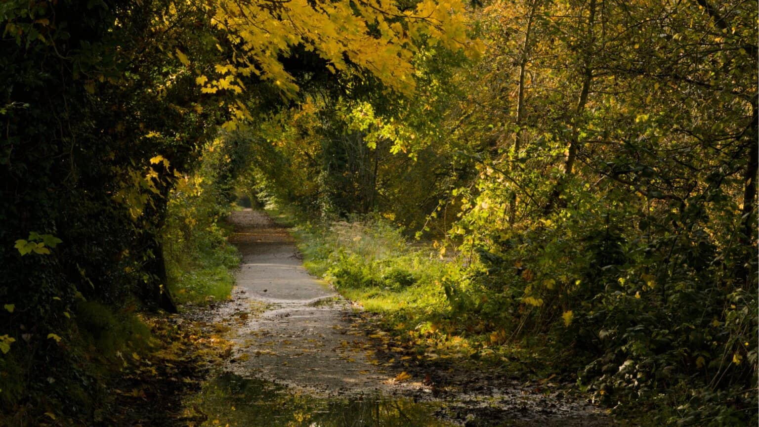 Weather in Ireland in April 2025: Temp, Rain, Wind, Light